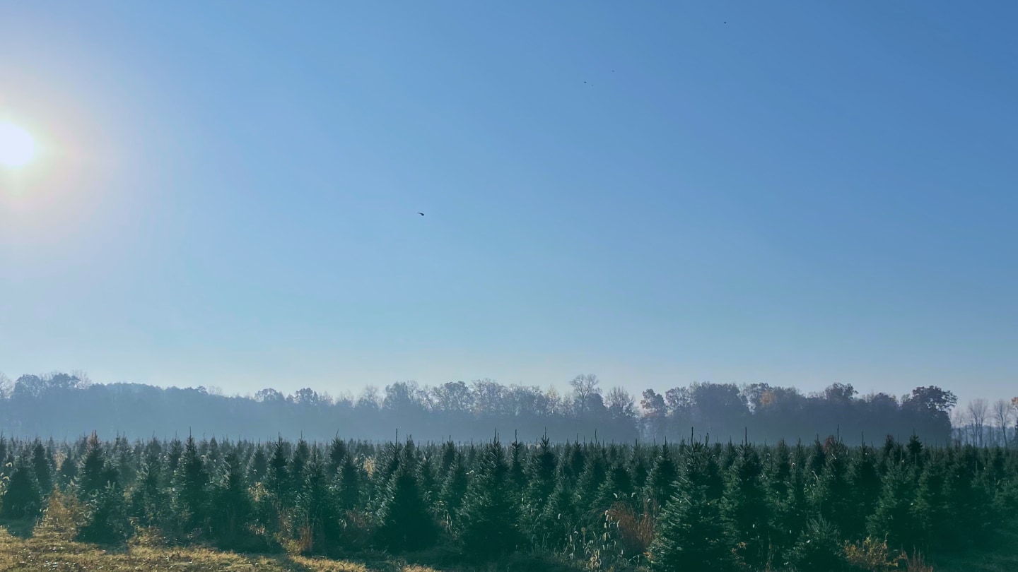 Reserve field | Hensler Nursery, Inc.