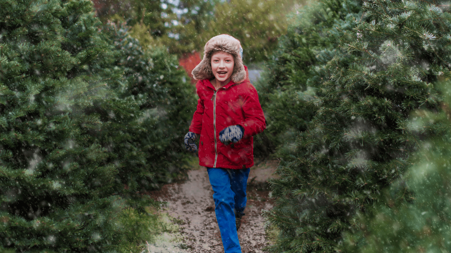 Indiana Christmas Tree Farm | Hensler Nursery, Inc.