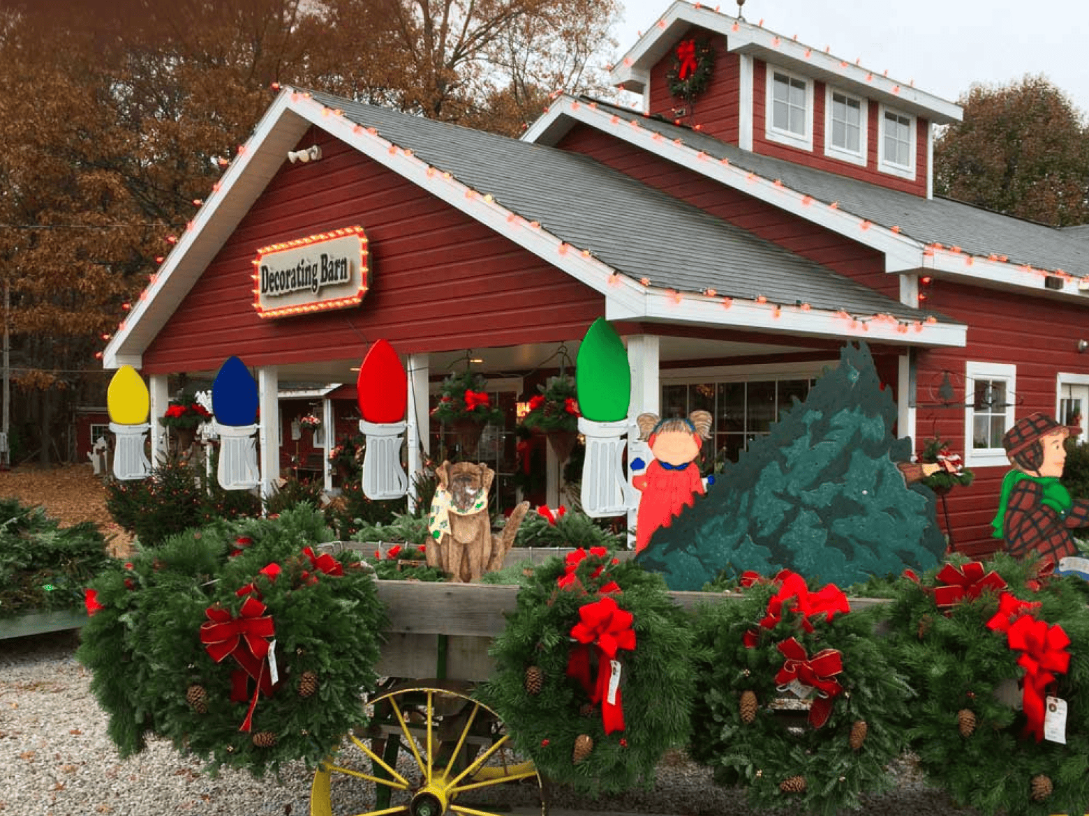 Indiana Christmas Tree Farm | Hensler Nursery, Inc.